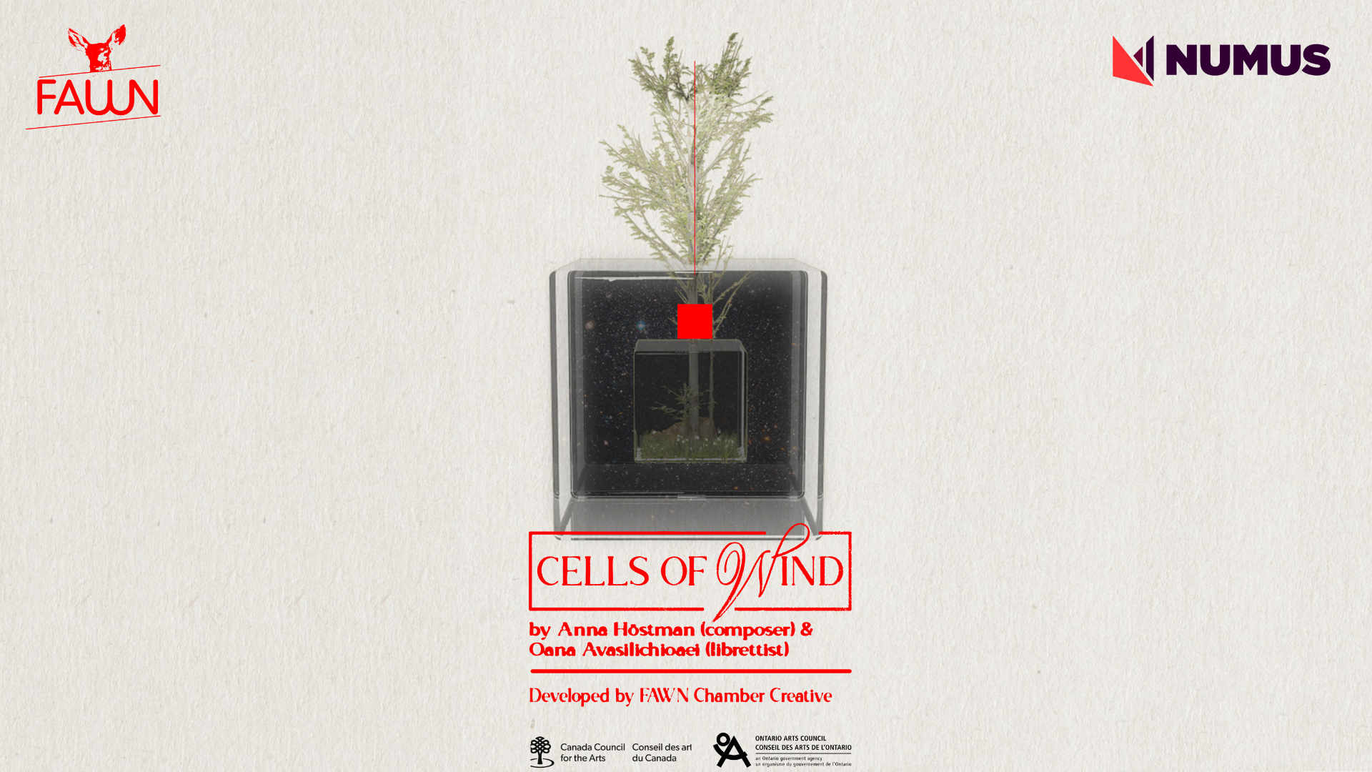 Cells of Wind | NUMUS